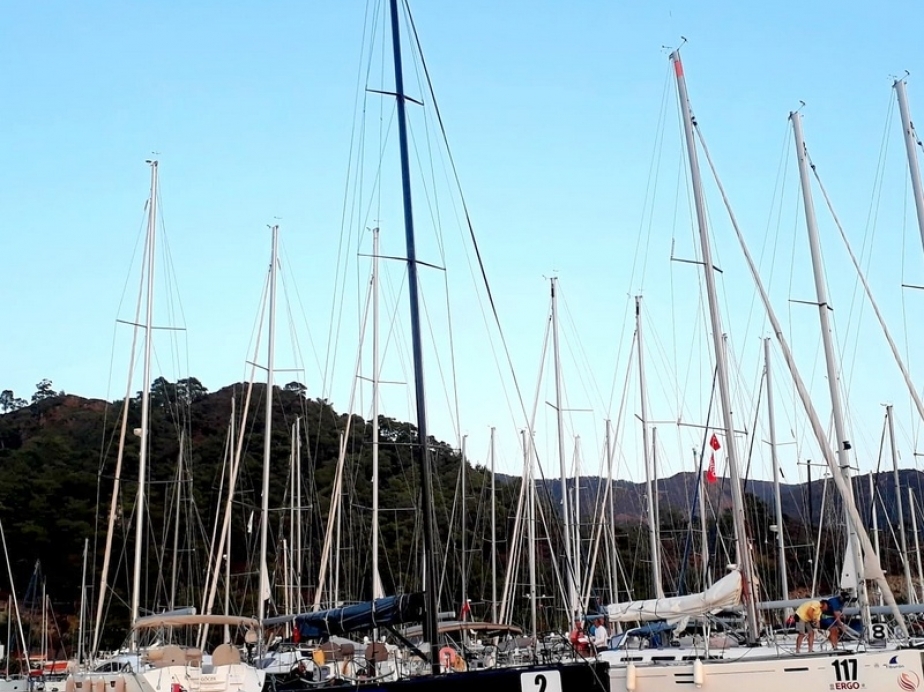 RC44